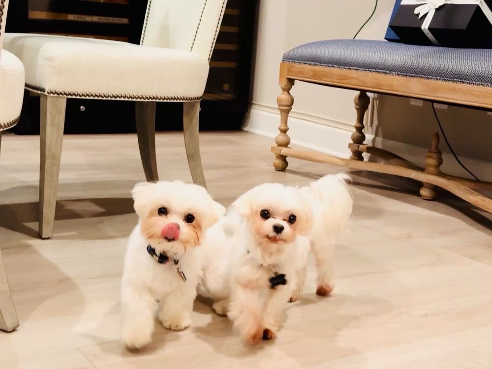 PET HARBOR - Updated June 2026 - 23 Photos & 35 Reviews - 328 W Redondo ...