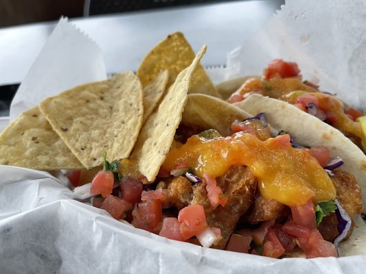 ZIA CANTINA - Updated September 2025 - 100 Photos & 333 Reviews - 2977 ...