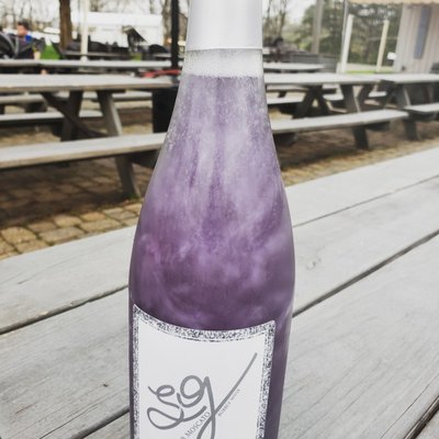 SPRING GATE VINEYARD - 164 Photos & 126 Reviews - Wineries - 5790 ...