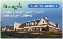 STRANGE’S FLORISTS - Updated January 2026 - 10 Photos & 29 Reviews ...