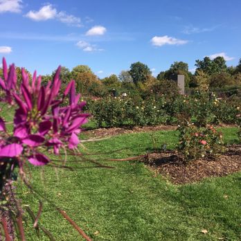LYNDALE PARK ROSE GARDEN - Updated June 2024 - 177 Photos & 25 Reviews ...