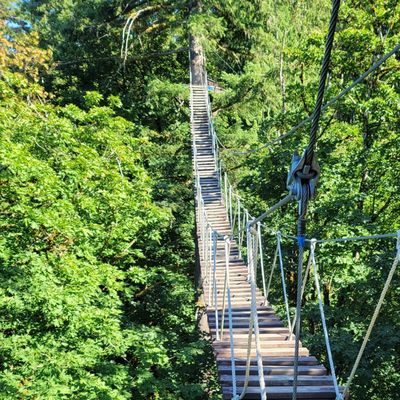 PUMPKIN RIDGE ZIP TOUR - Updated August 2024 - 95 Photos & 74 Reviews ...