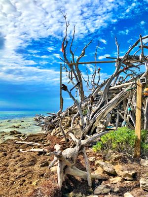 BOCA CHICA BEACH AREA - 171 Photos & 15 Reviews - Naval Air Base, Key ...