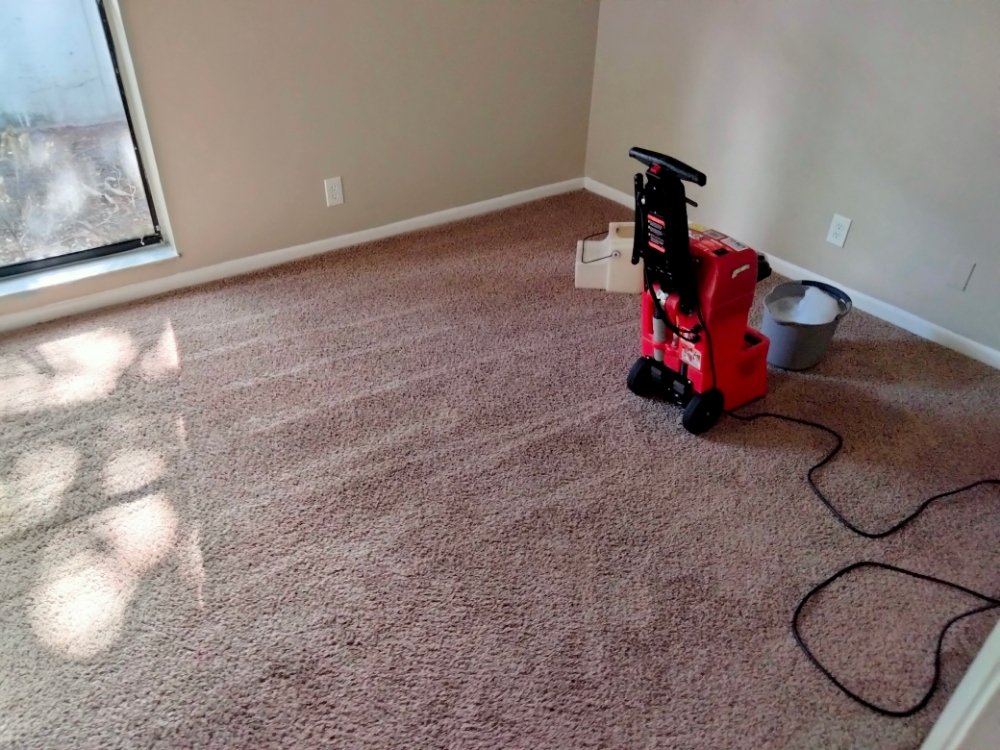 SPOT-ON CLEANING SERVICES - Updated May 2025 - 11 Photos & 15 Reviews ...