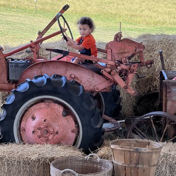 ELGIN CHRISTMAS TREE FARM - Updated December 2025 - 96 Photos & 60 ...