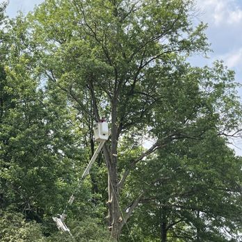 WARWICK TREE SERVICE - Updated September 2025 - Jamison, Pennsylvania ...