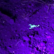 SATWIWA NATIVE AMERICAN INDIAN CULTURE CENTER - 74 Photos & 12 Reviews ...