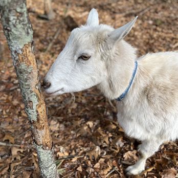 GOOD PICKIN’ FARM - Updated October 2025 - 26 Photos & 10 Reviews - 5 ...