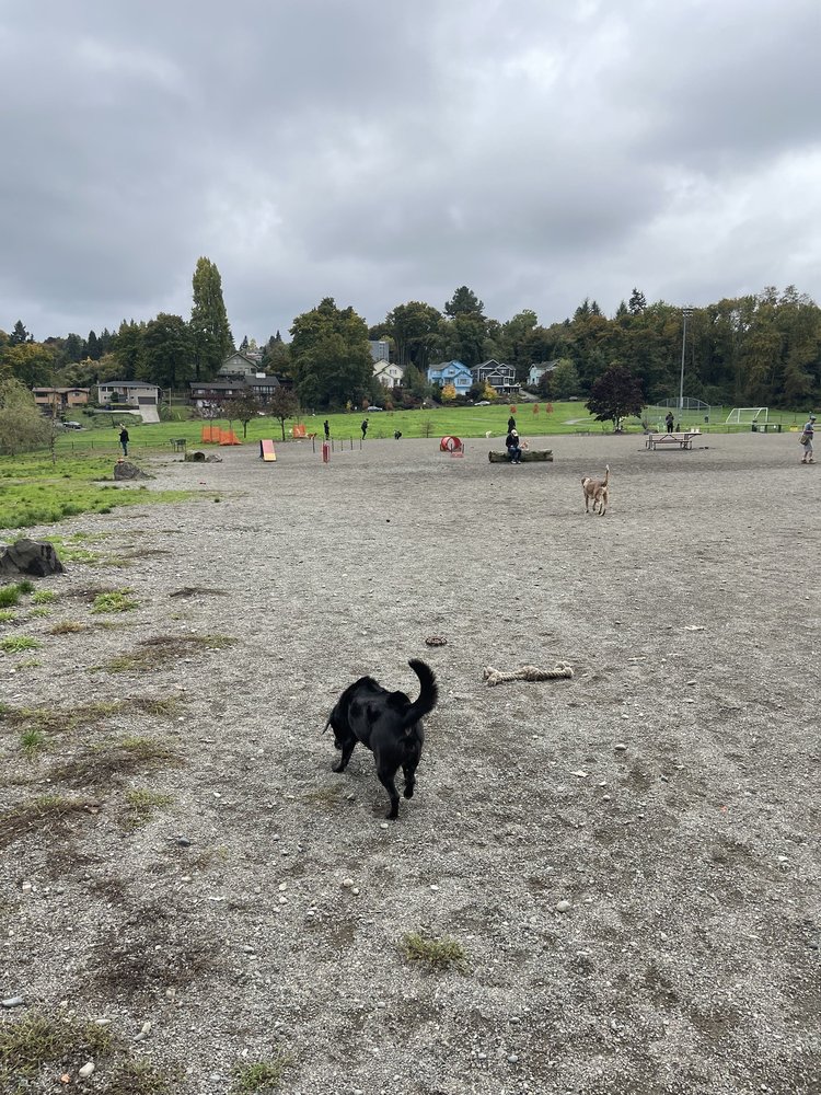 GENESEE PARK OFF-LEASH AREA - Updated October 2025 - 62 Photos & 50 ...