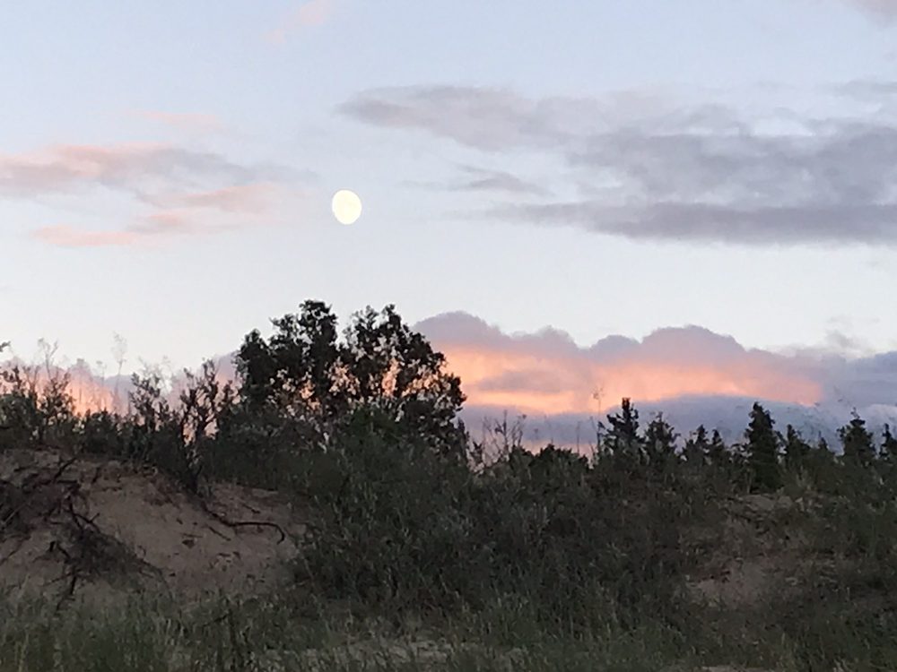 PETOSKEY STATE PARK - Updated August 2024 - 75 Photos & 48 Reviews ...