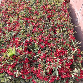 BOCA PARK FASHION VILLAGE - Updated October 2025 - 103 Photos & 45 ...