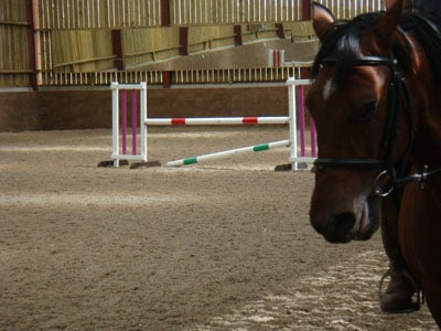 FARM VIEW HALL LIVERY CENTRE - Updated April 2025 - Farm View Hall ...
