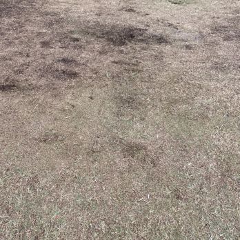 DAVIS MUNICIPAL GOLF COURSE - Updated July 2025 - 22 Photos & 41 ...