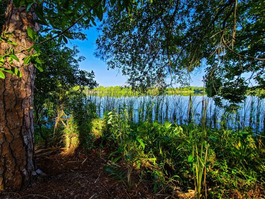 A. L. ANDERSON PARK - Updated September 2025 - 176 Photos & 27 Reviews ...