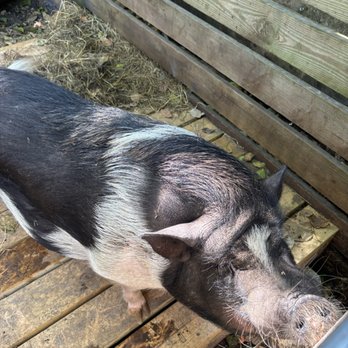 HAPPI FARM - Updated September 2025 - 367 Photos & 150 Reviews - 10251 ...