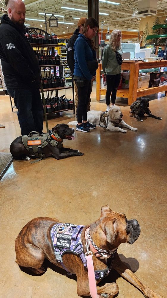 WORKING DOGS FOR WARRIORS - Updated August 2025 - 21 Photos & 19 ...