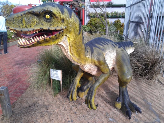 GARDENWORLD NURSERY - Updated October 2025 - Springvale Rd, Keysborough ...