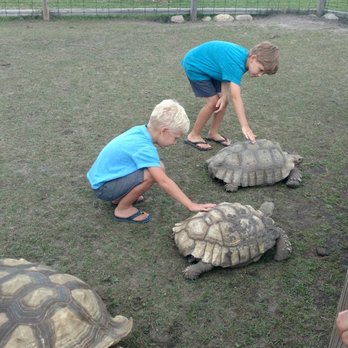 SAFARI NORTH WILDLIFE PARK - Updated October 2025 - 67 Photos & 36 ...