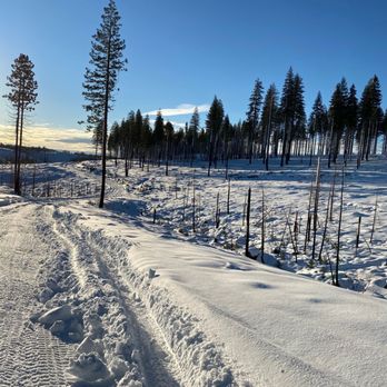 STUMPY MEADOWS - Updated October 2025 - 102 Photos & 55 Reviews ...