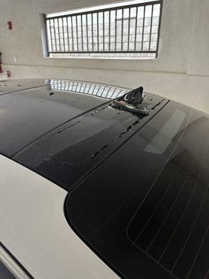 GENESIS SANTA MONICA - Updated January 2026 - 39 Photos & 147 Reviews ...