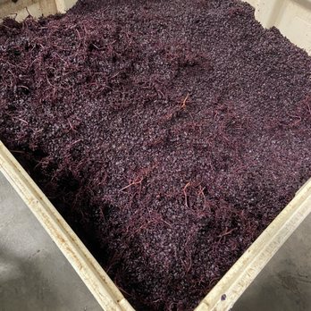 SPARKMAN CELLARS - Updated December 2025 - 91 Photos & 41 Reviews ...