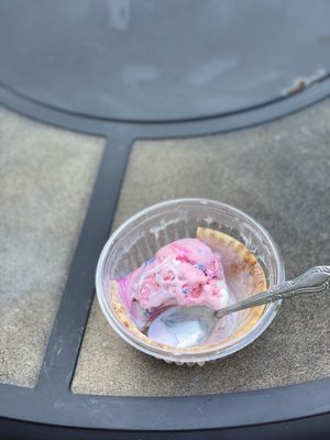 COYLE’S ICE CREAM - Updated July 2024 - 111 Photos & 127 Reviews - 75 ...