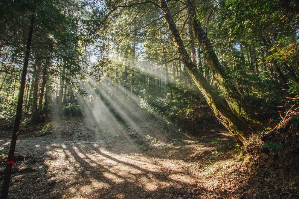BETTER PLACE FORESTS POINT ARENA - 25284 Ten Mile Cutoff, Point Arena ...