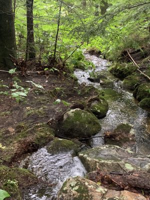 NEWFOUND LAKE INN - Updated December 2025 - 62 Photos & 100 Reviews ...