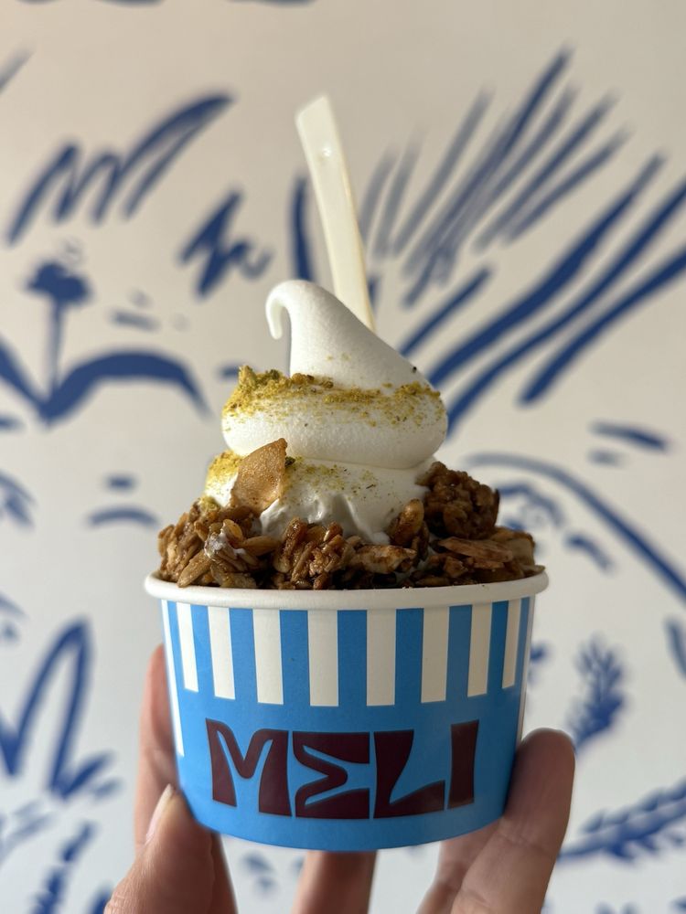 MELI FROZEN YOGURT - Updated May 2026 - 49 Photos & 19 Reviews - 210 NE ...