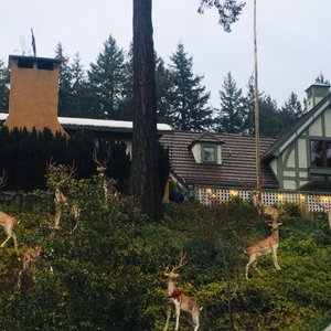 RASPBERRY RIDGE FARM - 21614 Big Valley Rd, Poulsbo, Washington - Bed ...