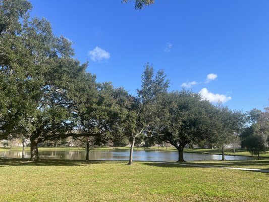 RAGAN PARK - Updated December 2025 - 1200 E Lake Ave, Tampa, Florida ...