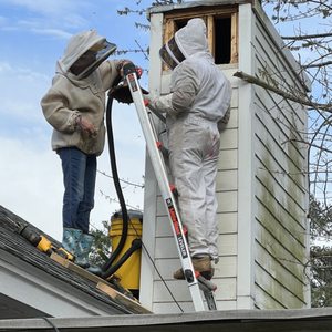 ASTRO EXTERMINATING SERVICES - Updated August 2025 - 19450 Valdosta Hwy ...