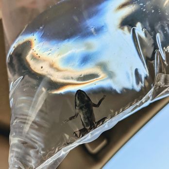 FISH DEN - Updated July 2025 - 21 Photos & 86 Reviews - 5055 W 44th Ave ...