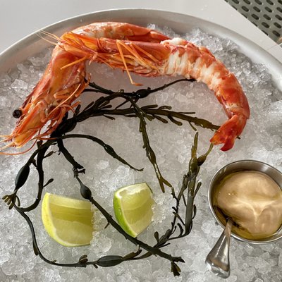 BARBOUNI AT BABA - 11 Photos - 2701 Central Ave, St. Petersburg ...