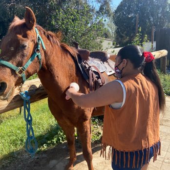 THE DINGLE FAMILY FARM AND STABLES - Updated February 2025 - 535 Photos ...