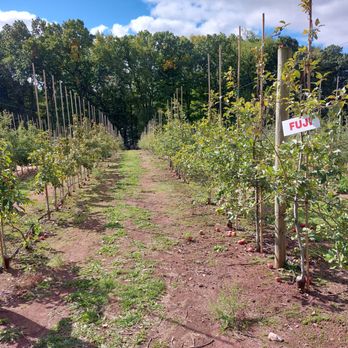 DEMAREST FARM - Updated September 2024 - 792 Photos & 337 Reviews - 244 ...