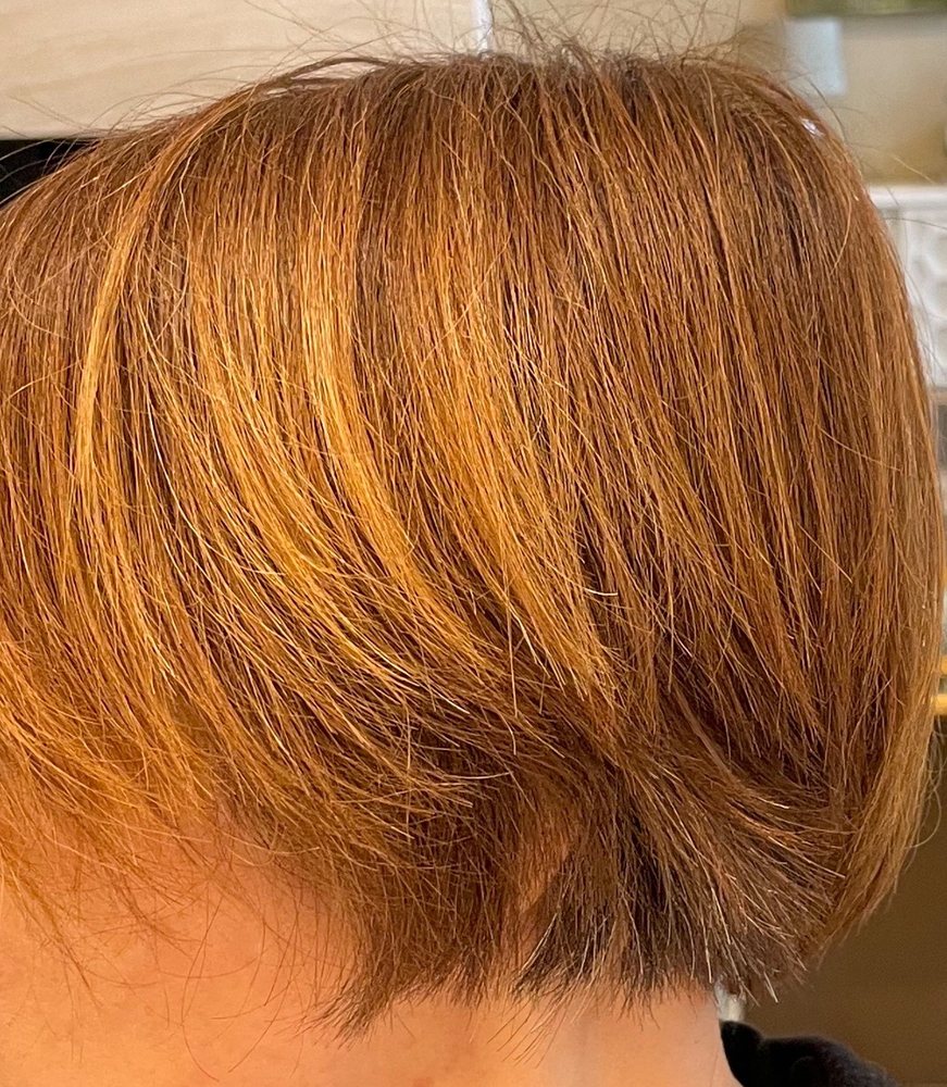 GREAT CLIPS - Updated October 2025 - 33 Reviews - 1038 Maple Ave, Lisle ...