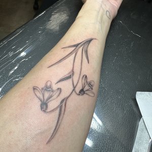 MODO INK TATTOO - 922 Photos & 325 Reviews - 431-B N Tustin St, Orange ...