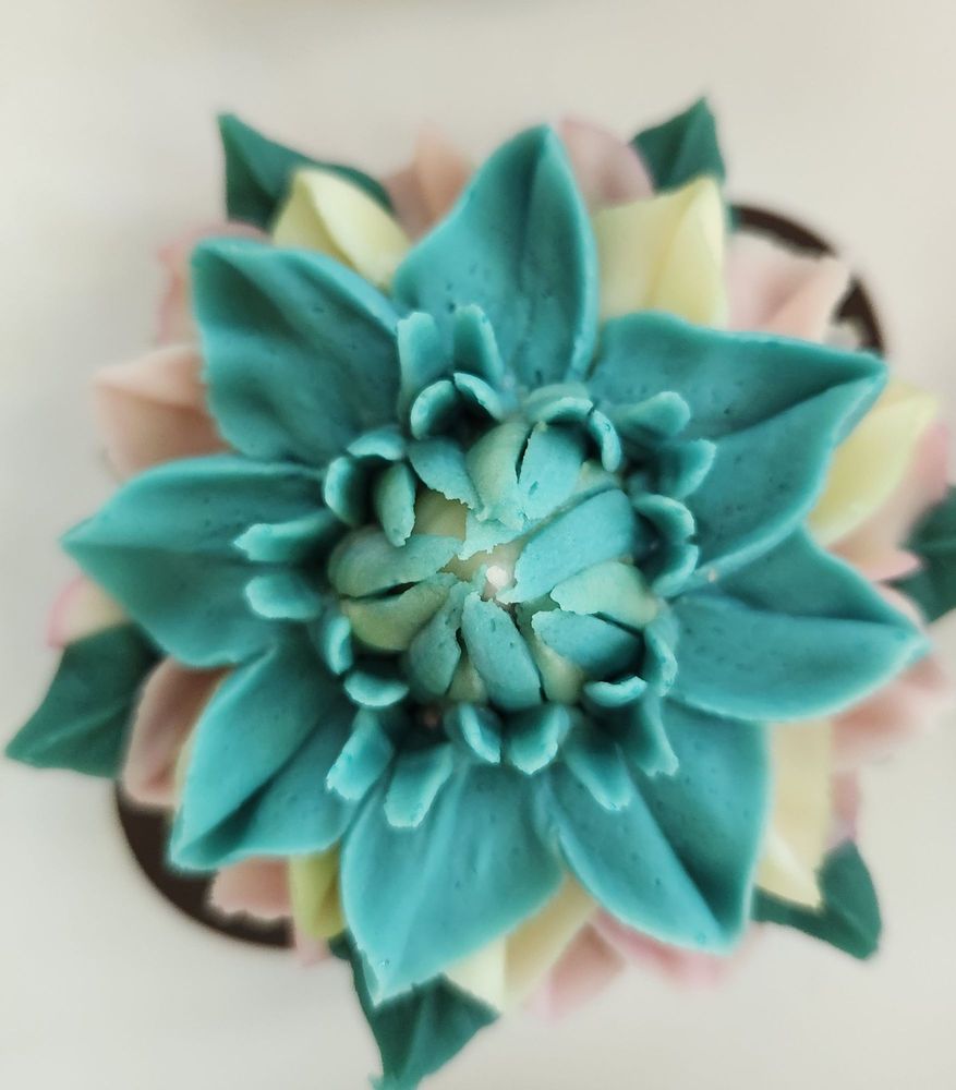 RISE & BLOOM CUPCAKES - Updated January 2026 - 22 Photos - Hudson ...