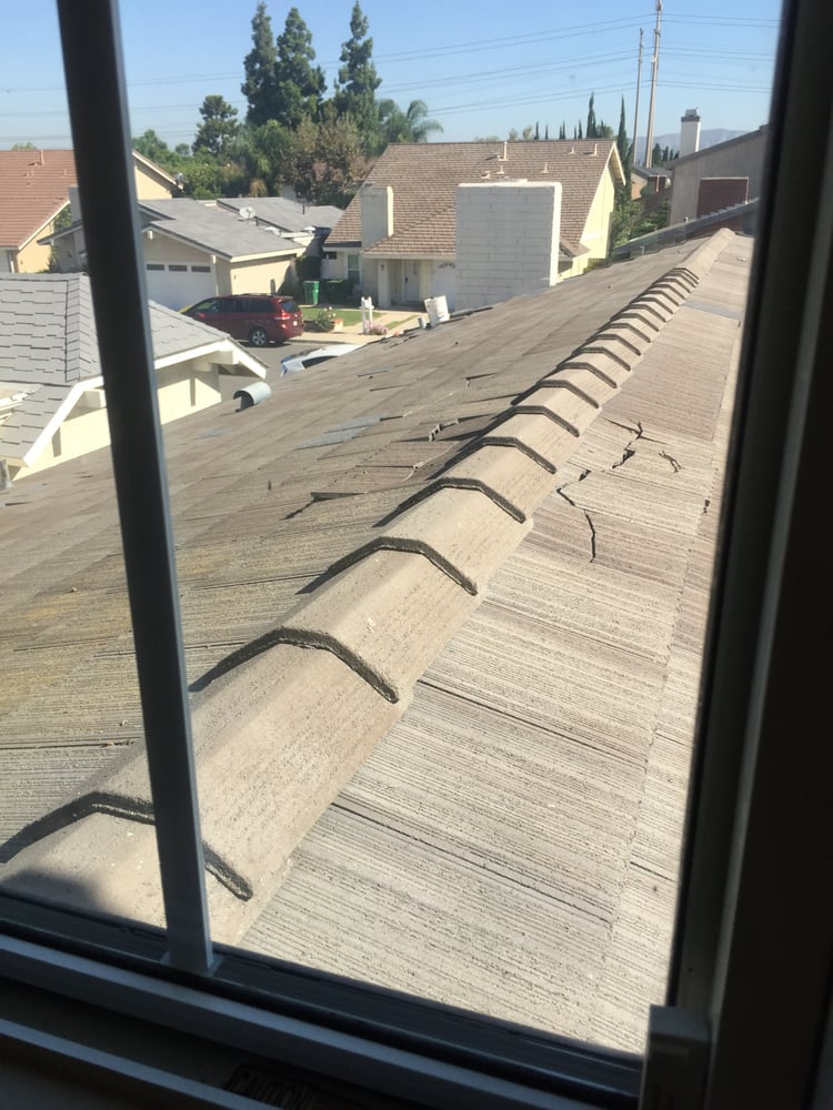 R I P TERMITE - Updated July 2025 - Newport Beach, California - Pest ...