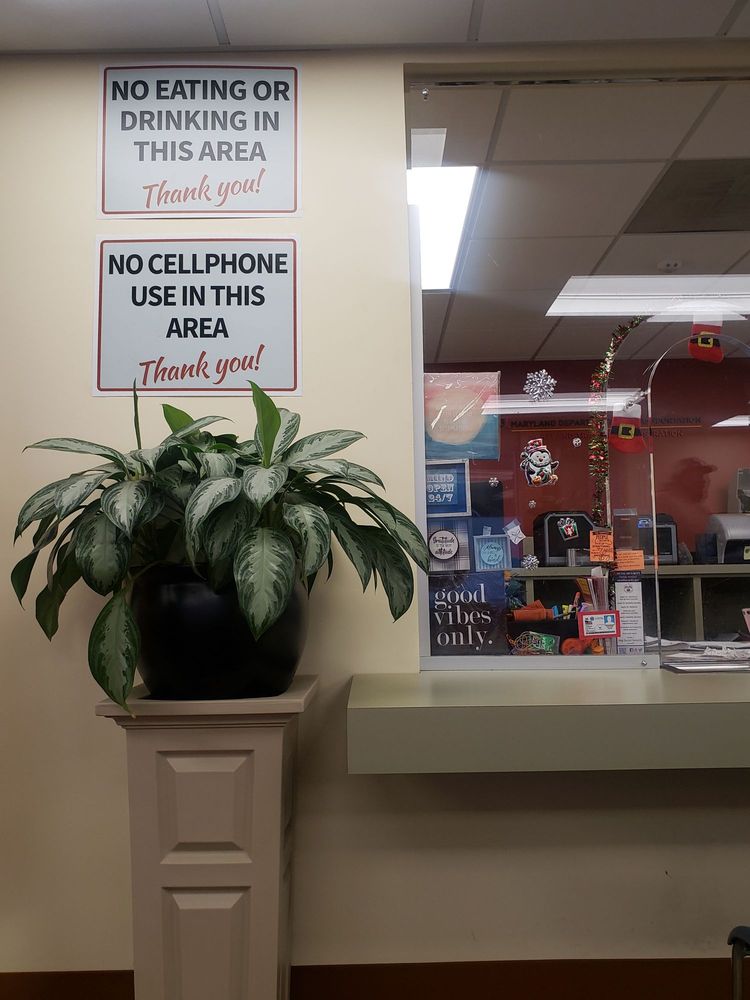 MTA - Updated June 2024 - 6 Saint Paul St, Baltimore, Maryland ...