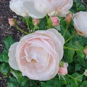 ASCENSION BORGESS HOSPITAL - 24 Photos & 45 Reviews - Hospitals - 1521 ...