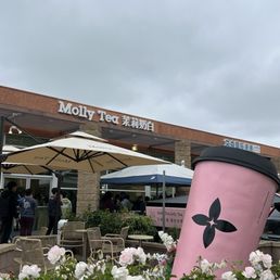 MOLLY TEA - Updated December 2025 - 1833 Photos & 1420 Reviews - 425 W ...
