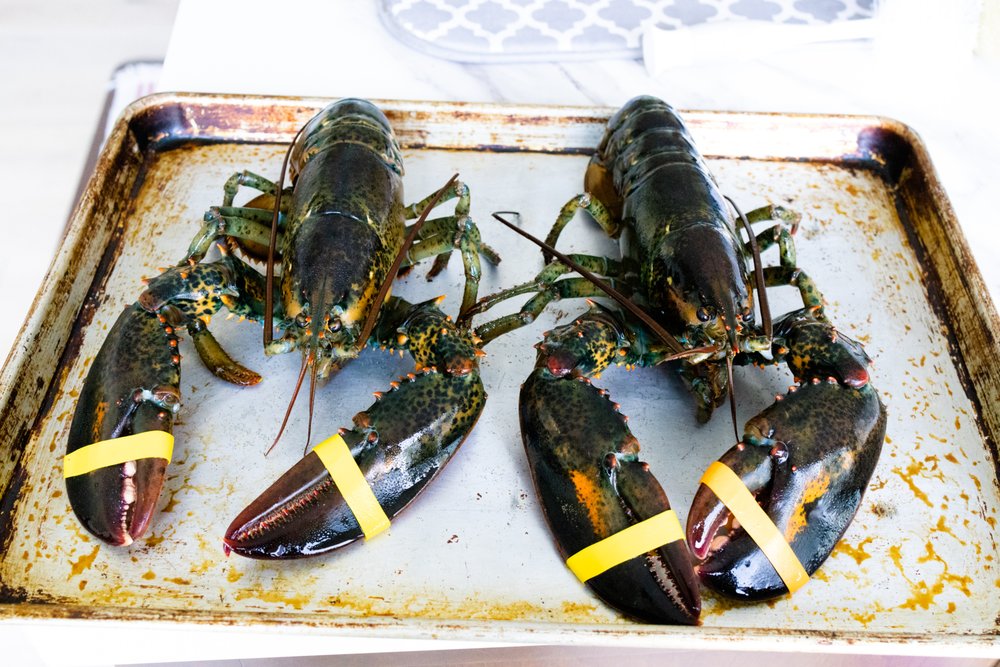 99 RANCH MARKET - Updated September 2024 - 327 Photos & 315 Reviews ...