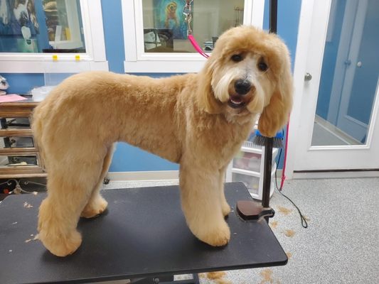 America’s Country Store and Pet Resort - Updated May 2026 - 61 Photos ...