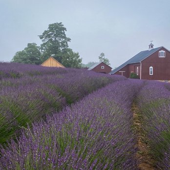 STAR BRIGHT FARM - Updated December 2025 - 21 Photos - 2950 Garrett Rd ...