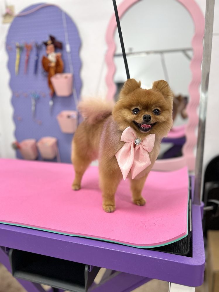 FLUFF BAR - Updated August 2025 - 73 Photos - 3921 E Guadalupe Rd ...