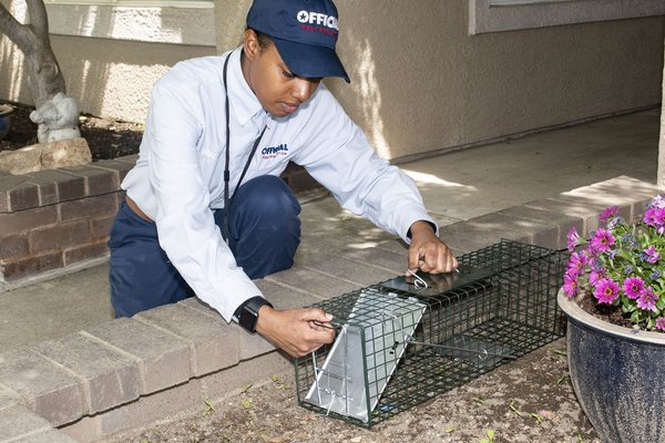 OFFICIAL PEST PREVENTION - Updated April 2025 - 52 Photos & 305 Reviews ...