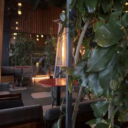 M.BIRD - Updated August 2025 - 762 Photos & 552 Reviews - 1903 Market ...