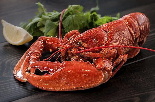 FISH SHACK CAFE - Updated December 2025 - 42 Photos & 23 Reviews - 1 ...